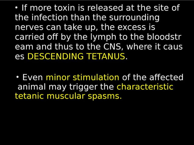 tetanus in animals.pptx