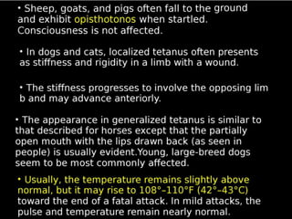 tetanus in animals.pptx