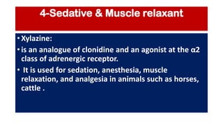 Tetanus in equines and dairy animals | PDF