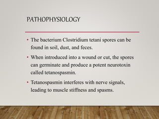 Tetanus in newborns. CONDITIONS FOR THE SICK CHILDREN. | PPTX
