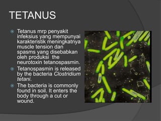 MATERI MANAJEMEN OF PENYAKIT TETANUS.ppt | Brain and Nervous System ...