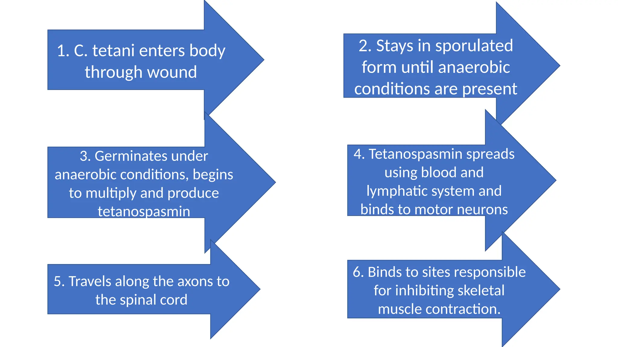 Definition and principles of Management of neonatal tetanus, | PPT