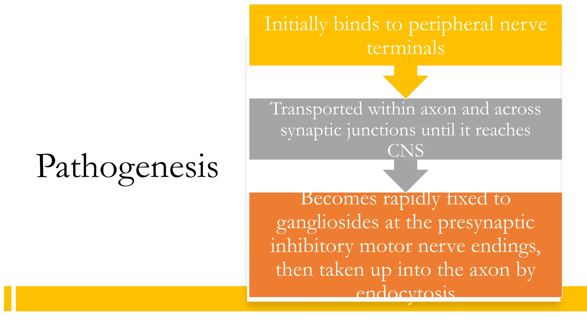 Definition and principles of Management of neonatal tetanus, | PPT