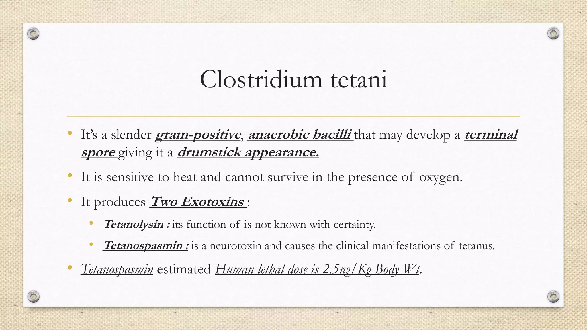 Tetanus | PPTX
