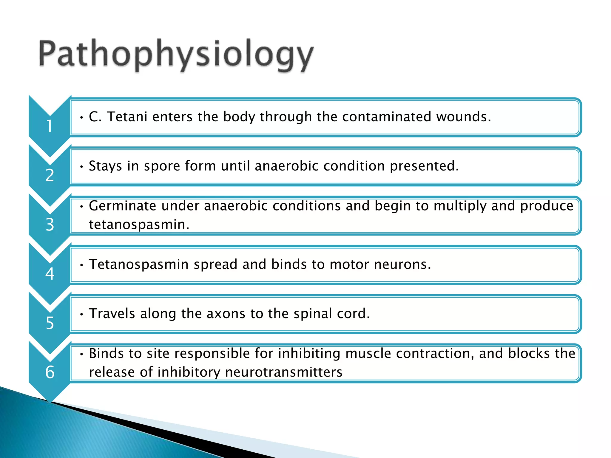 Tetanus prophylaxis and types of immunitynewnewv | PPTX