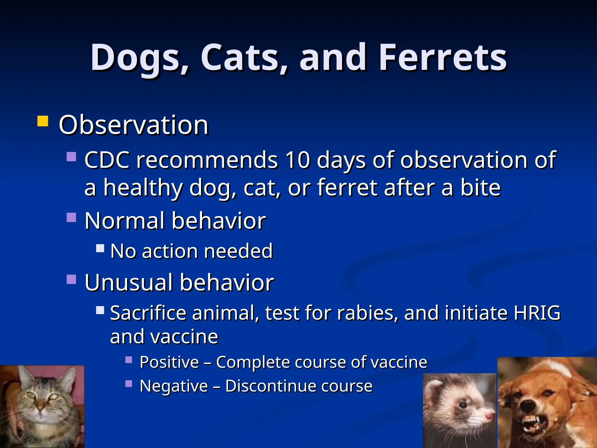 TetanusRabies.ppt Important zoonotic disease of global importance | PPT