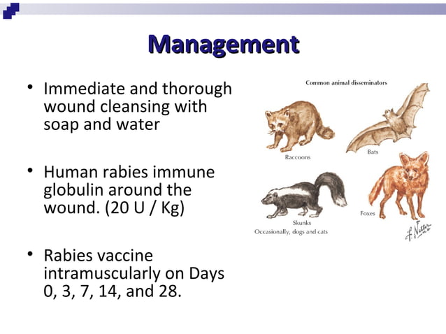 Tetanus-strichnine toxicity & rabies | PPT