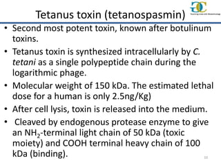 Tetanus t | PPTX