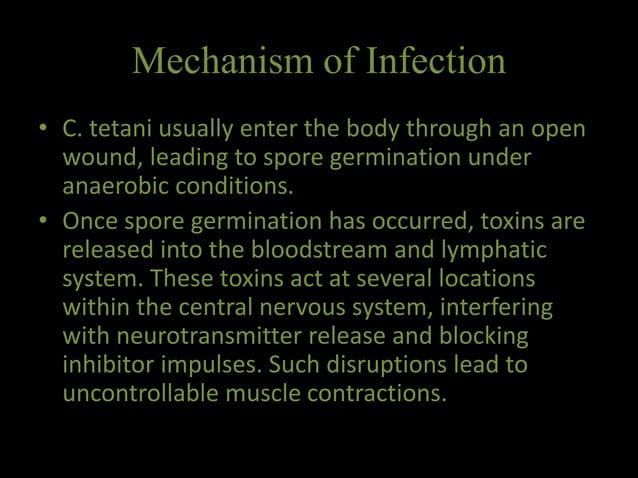 Tetanus toxin mechanism | PPTX | Infectious Diseases | Diseases and ...