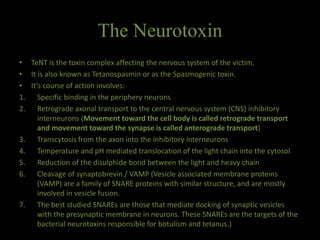 Tetanus toxin mechanism | PPTX