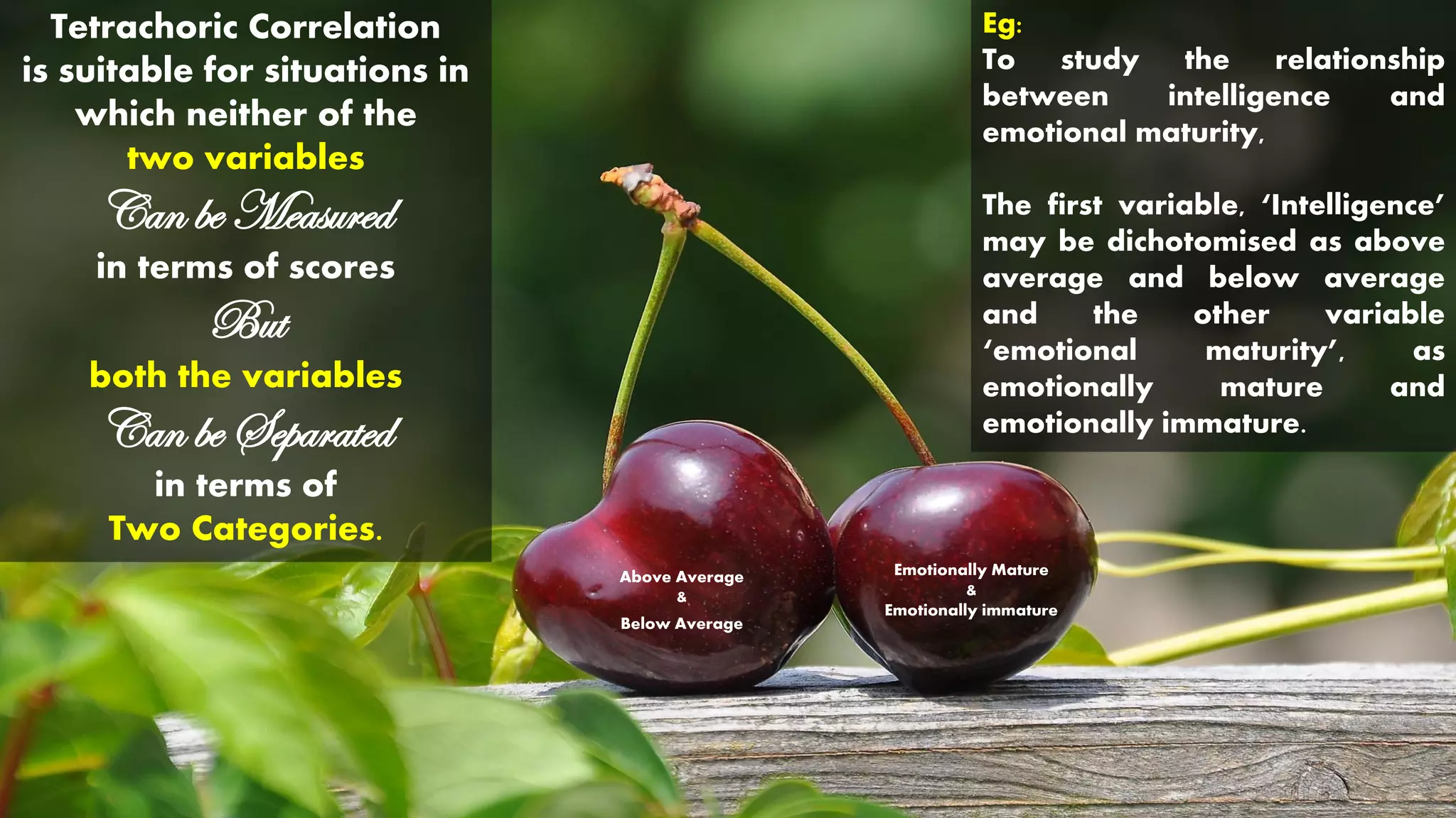Tetrachoric Correlation - Thiyagu | PDF