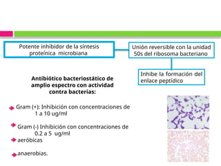 FARMACOLOGIA FARMACOS. TETRACICLINAS.pptx