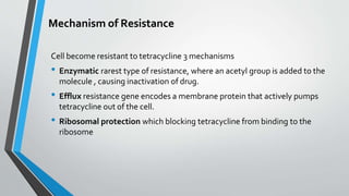 tetracycline-141117123807-conversion-gate01.pptx