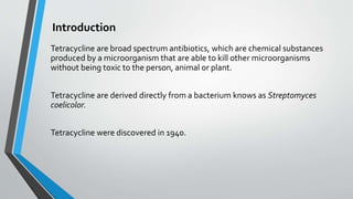 Tetracycline | PPTX