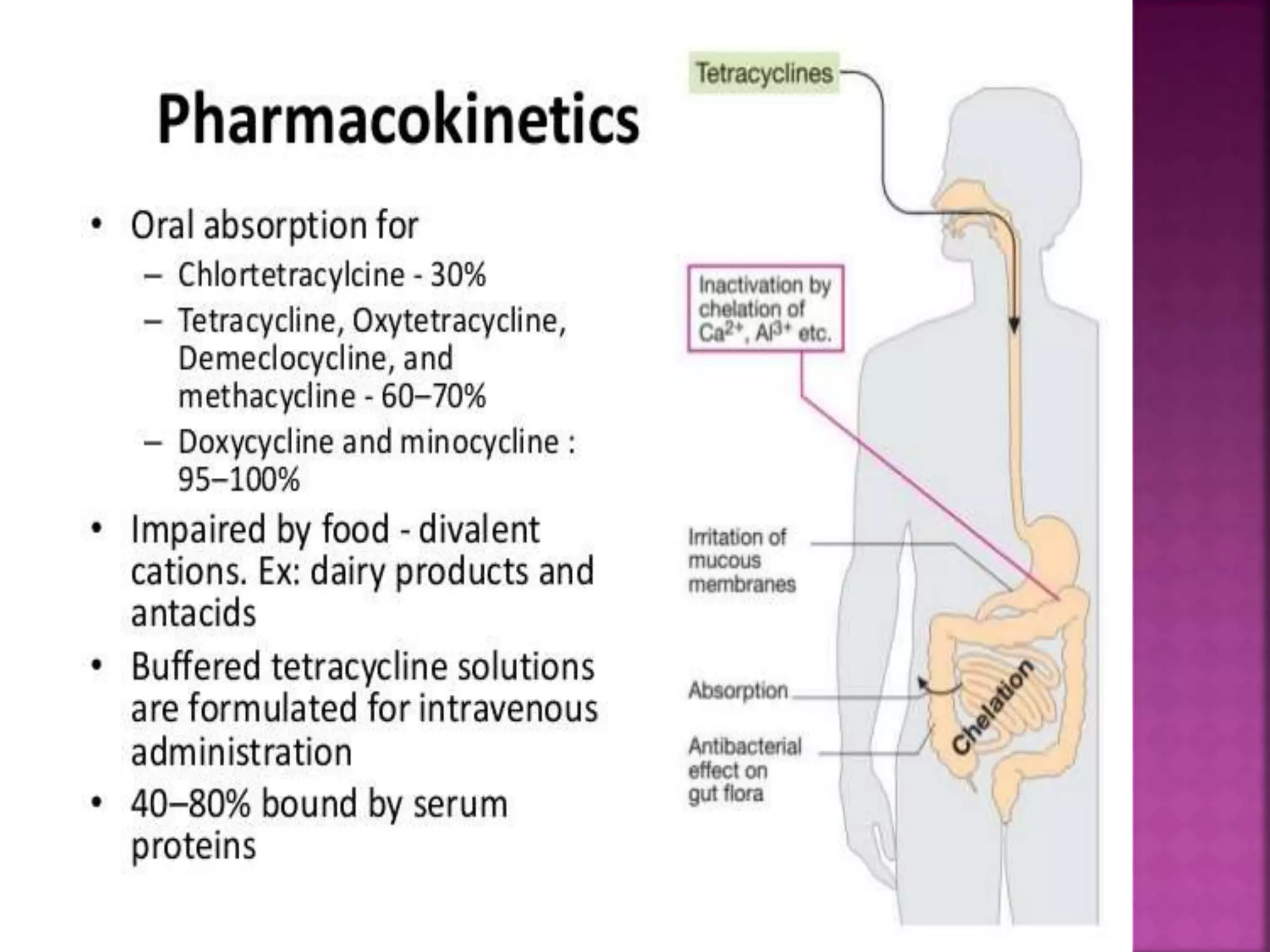 Tetracycline | PPTX