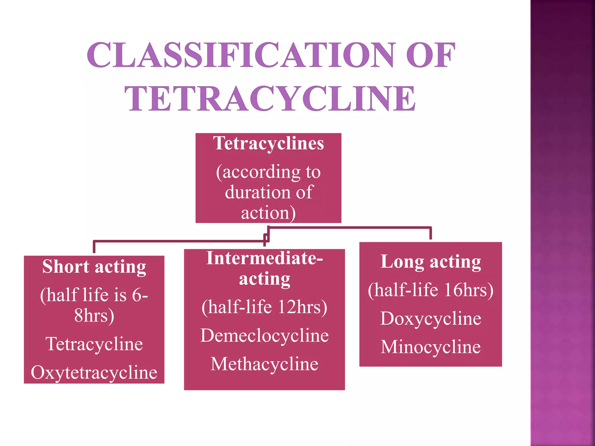 Tetracycline | PPTX