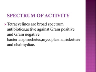 Tetracycline | PPTX