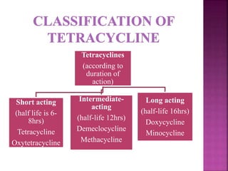 Tetracycline Antibiotics