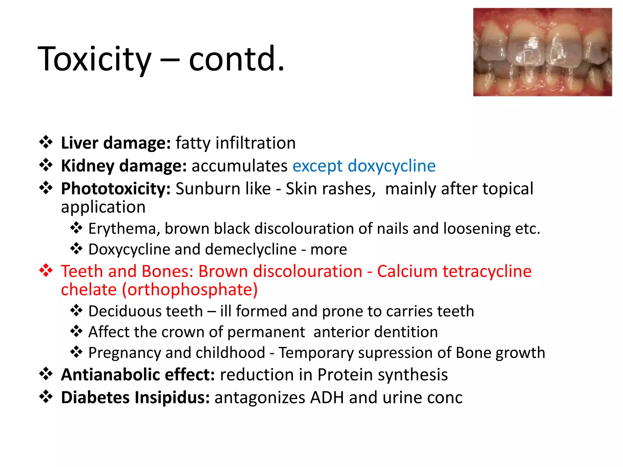 Tetracycline and Chloramphenicol | PPTX