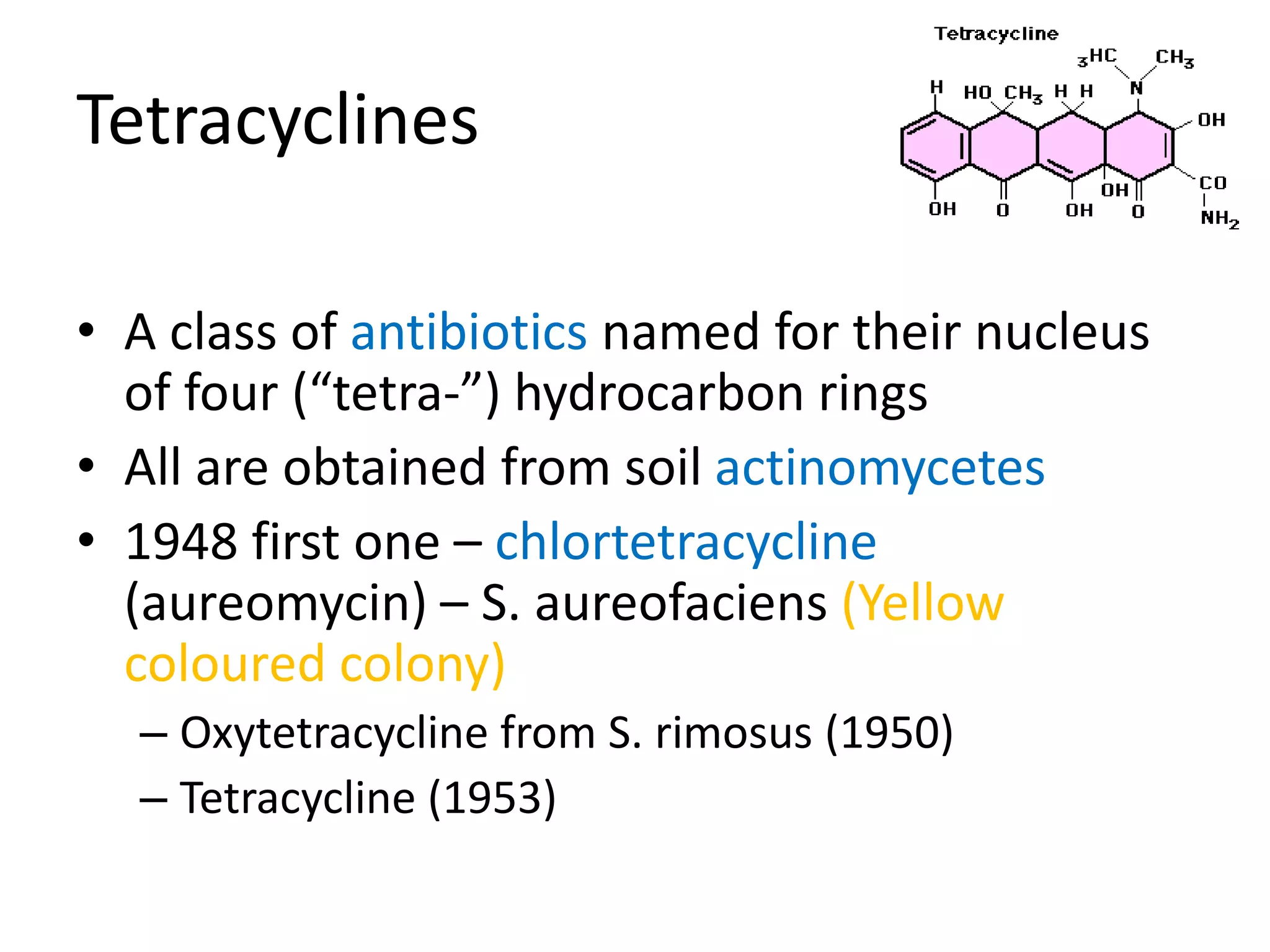 Tetracycline and Chloramphenicol | PPTX