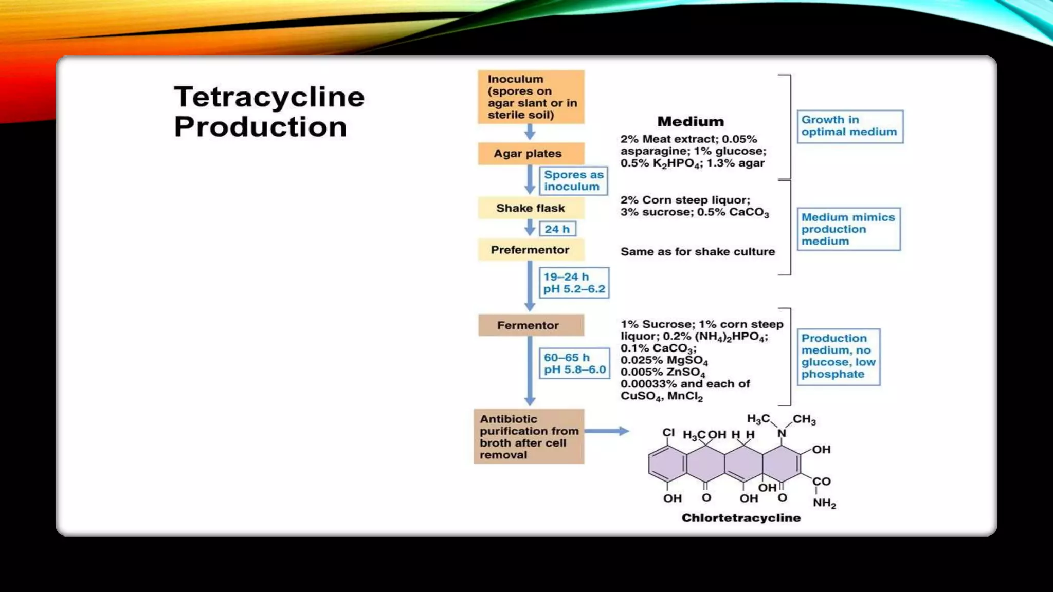 Tetracycline | PPTX