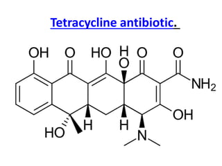 Tetracycline | PPTX