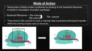 Tetracycline - Medical Microbiology | PPT