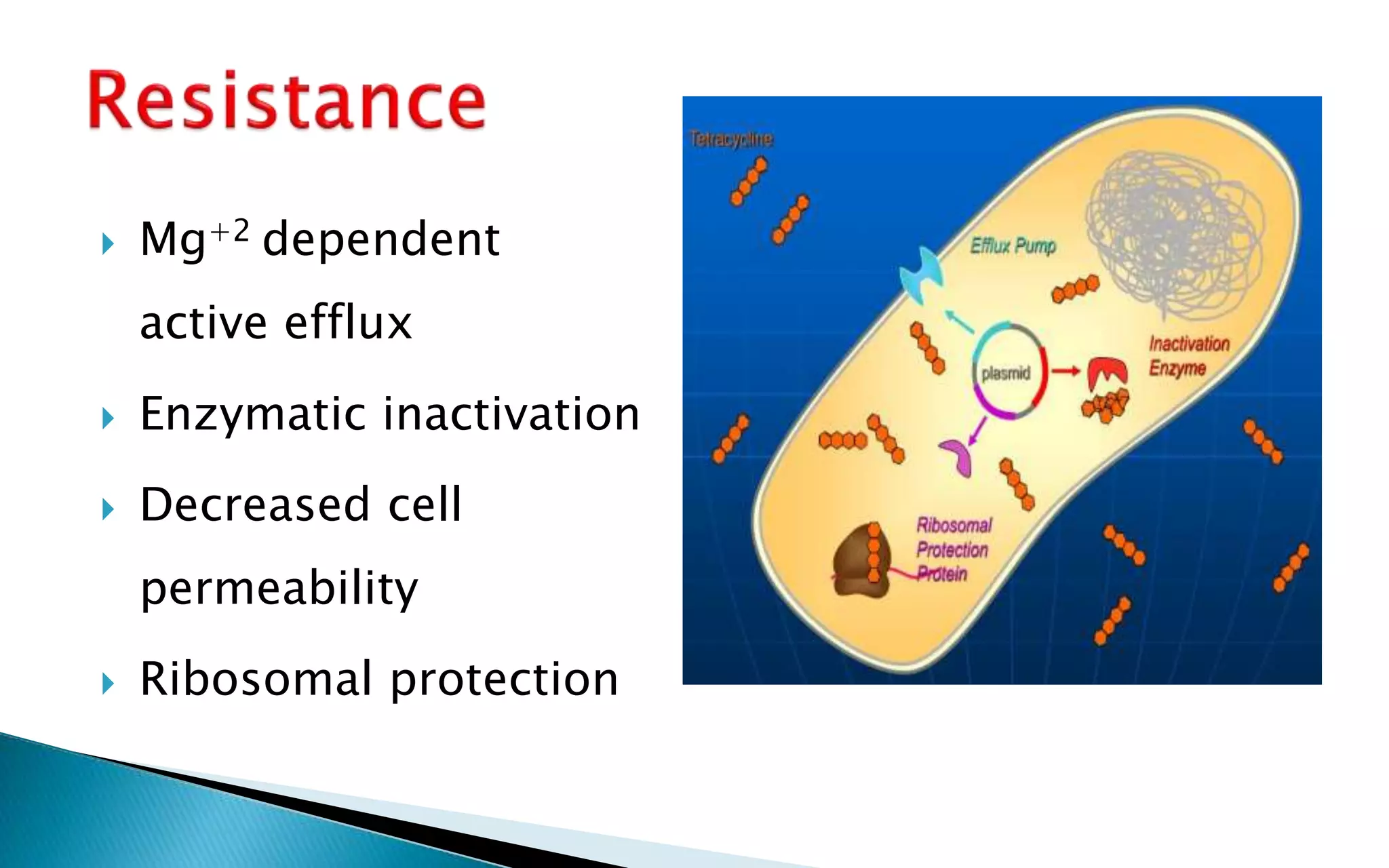 Pharmacotherapy of Tetracyclines | PPTX