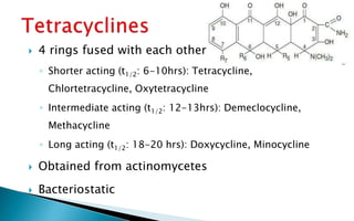 Pharmacotherapy of Tetracyclines | PPTX