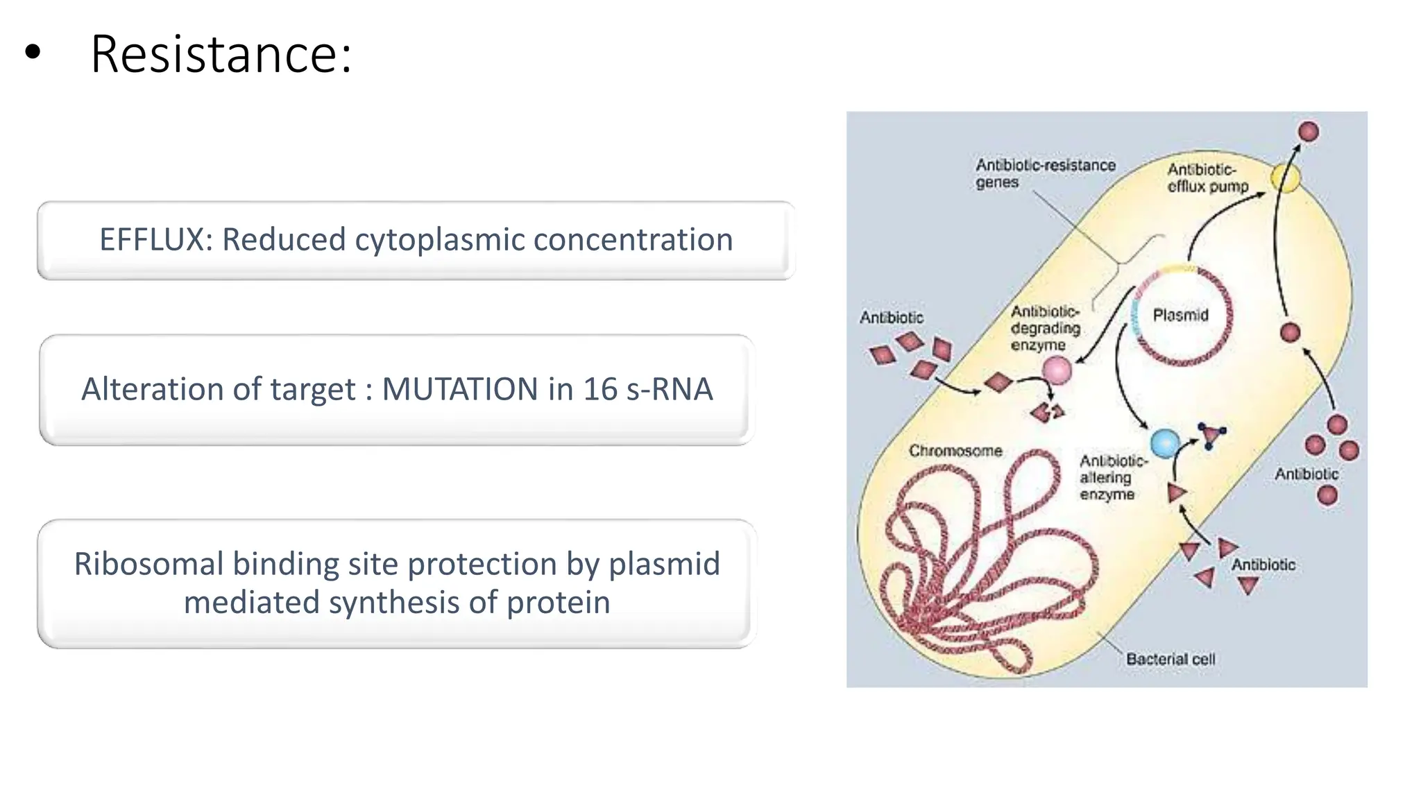 Pharmacotherapy of antibiotic Tetracycline.ppt