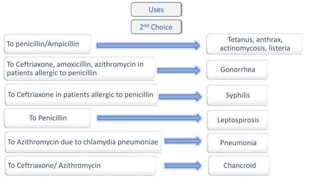 Pharmacotherapy of antibiotic Tetracycline.ppt