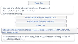 Pharmacotherapy of antibiotic Tetracycline.ppt