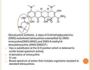 Tetracycline | PPTX