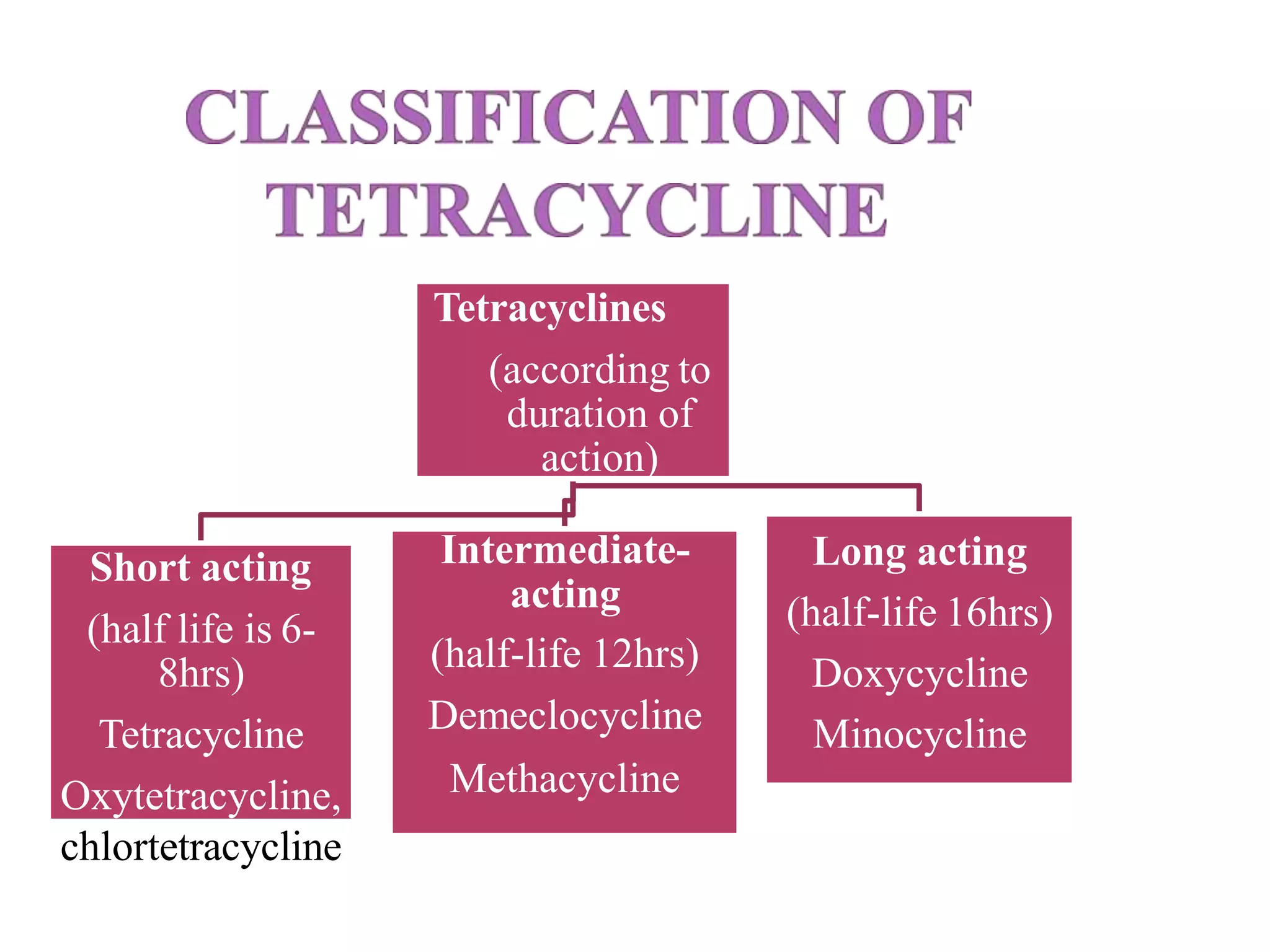 Tetracycline antibiotics.pptx