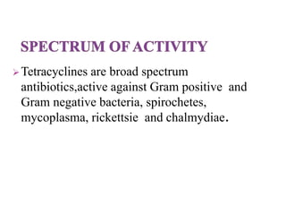 Tetracycline antibiotics.pptx