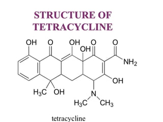 Tetracycline antibiotics.pptx | Chemistry | Science
