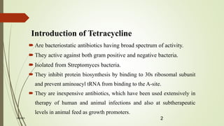 Tetracycline Group 5.pptx