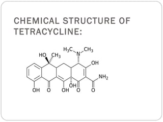 Tetracyclines | PPT