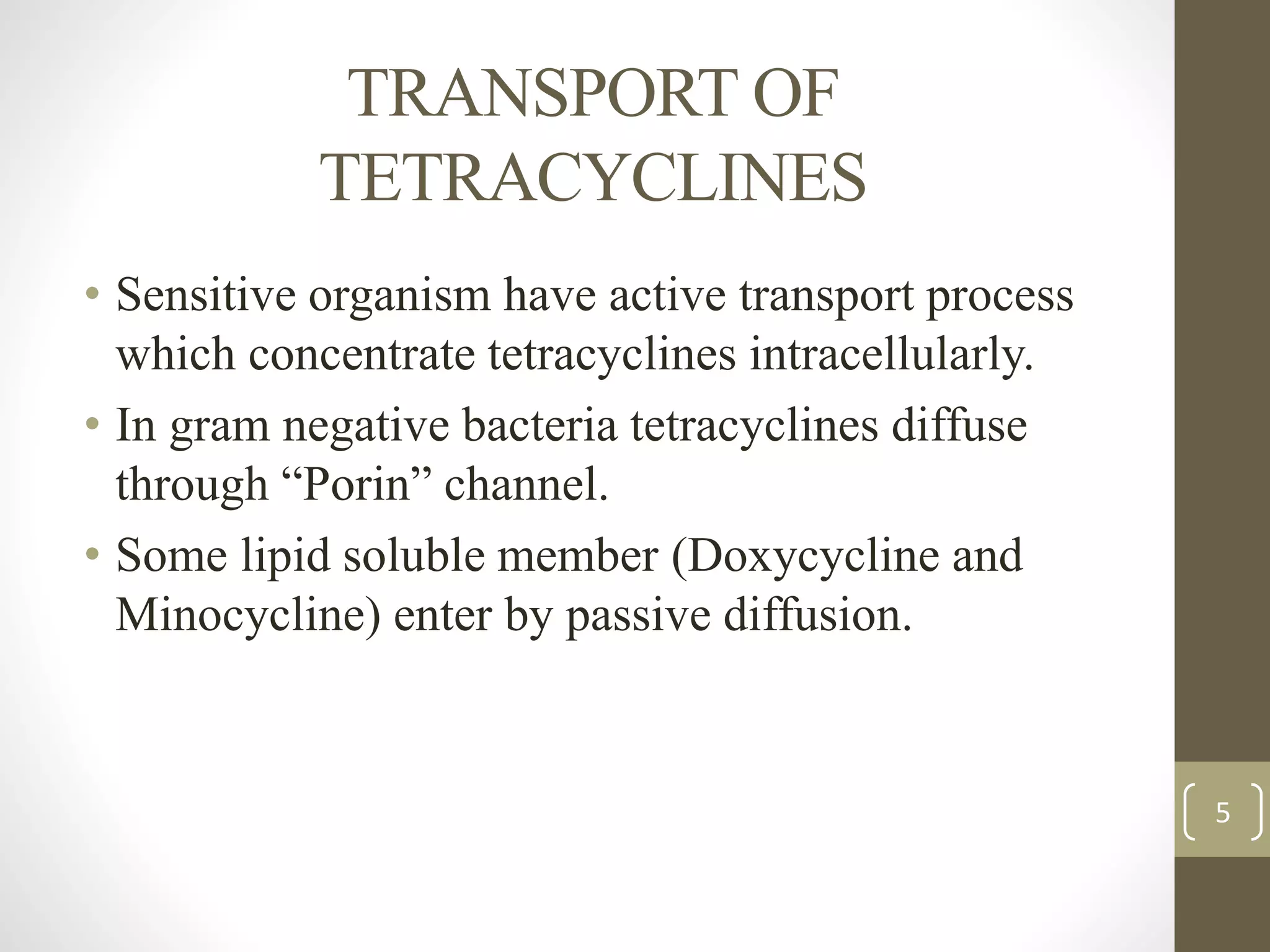 Tetracyclines | PPTX