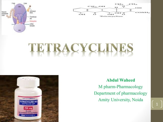 Tetracyclines | PPTX | Infectious Diseases | Diseases and Conditions