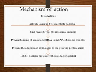 Tetracyclines | PPTX