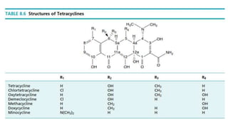 Tetracyclines | PPTX