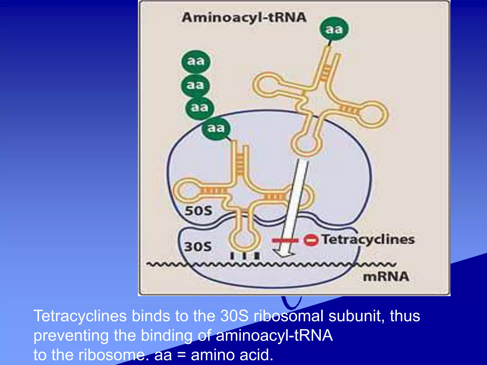 Antibiotic Tetracyclines history,classification,mechanism of action and ...