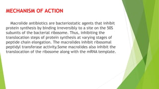 Antibiotics | PPTX