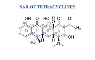 Tetracyclines.pptx
