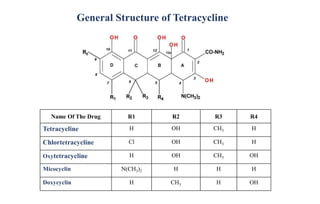 Tetracyclines.pptx