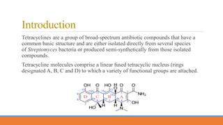 Tetracyclines lecture notes BS Class Fsd | PDF