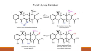 Tetracyclines Medicinal Chemistry | PPTX