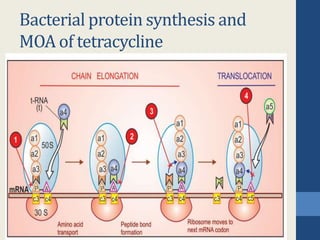 Tetracyclines and Chloramphenicol (Broad-Spectrum Antibiotics).pptx