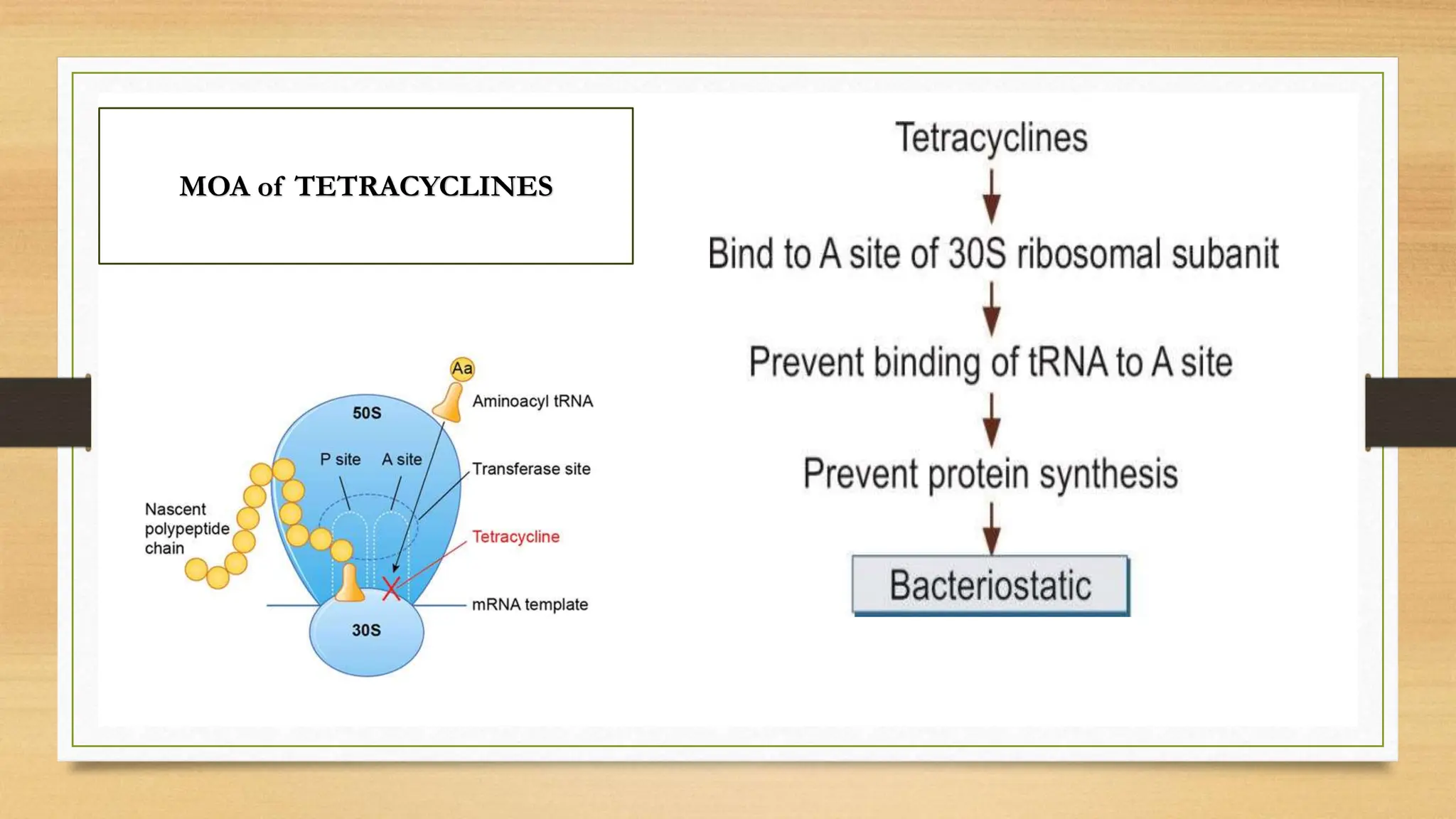 Tetracyclines, Macrolides, Chloramphenicol and Clindamycin Antibiotics ...